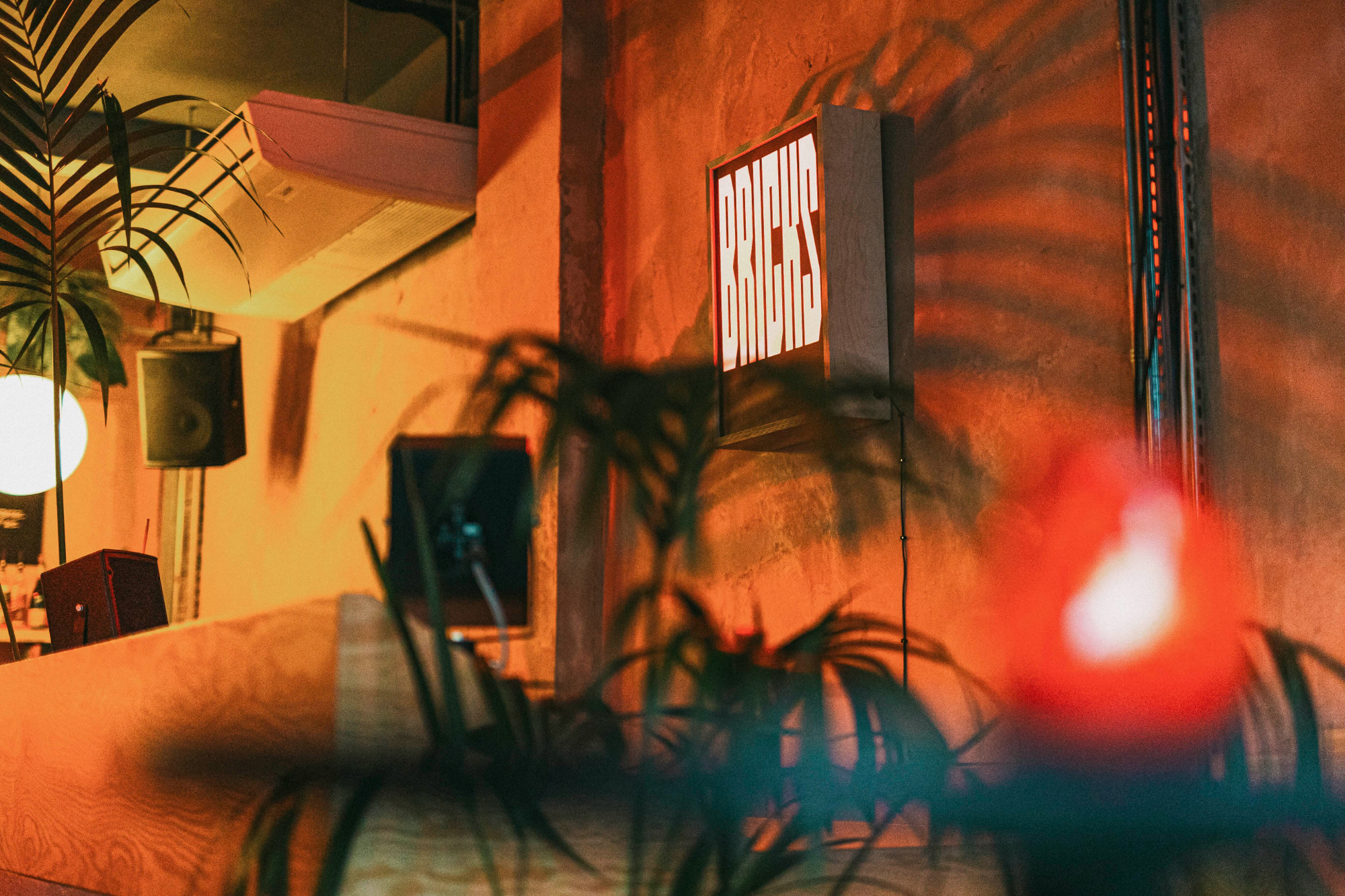 Reck's Room - Bar - 20 Nov 2025